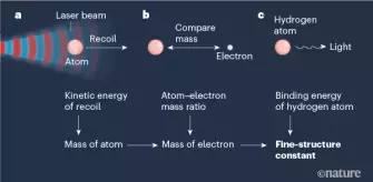 科學家們發現 10186_2