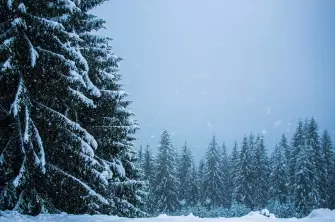 Hıristiyanlar kış gündönümünü nasıl seçtiler? 10418_2