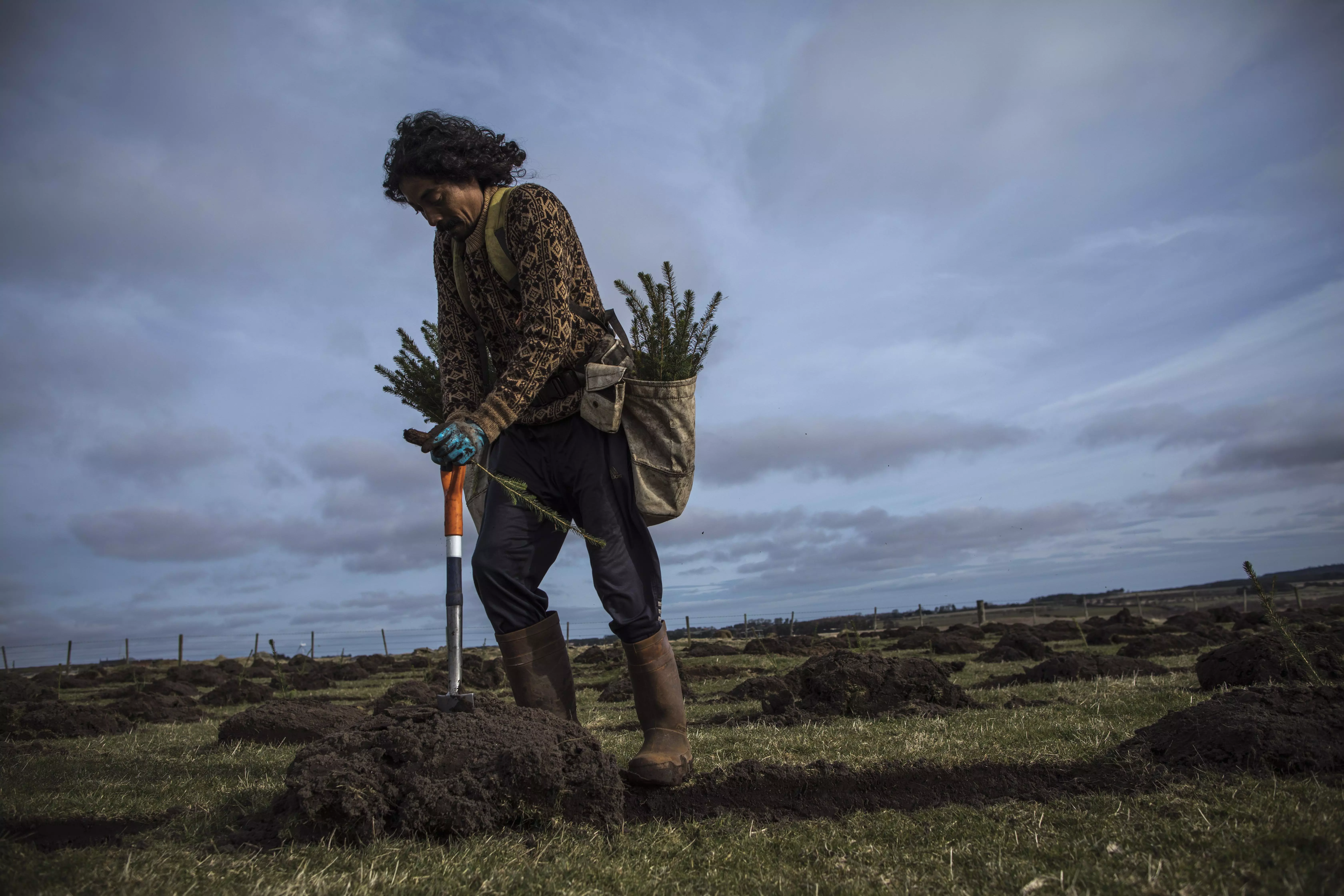 Las soluciones basadas en la naturaleza (NbS) no salvarán el planeta 10463_1