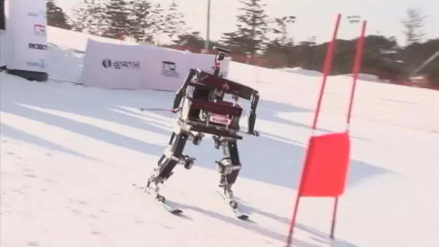 Ang mga robot sa pag-ski nakakuha sa ilang kaugalingon nga Winter Olympics sa bukid sa South Korea 11400_1