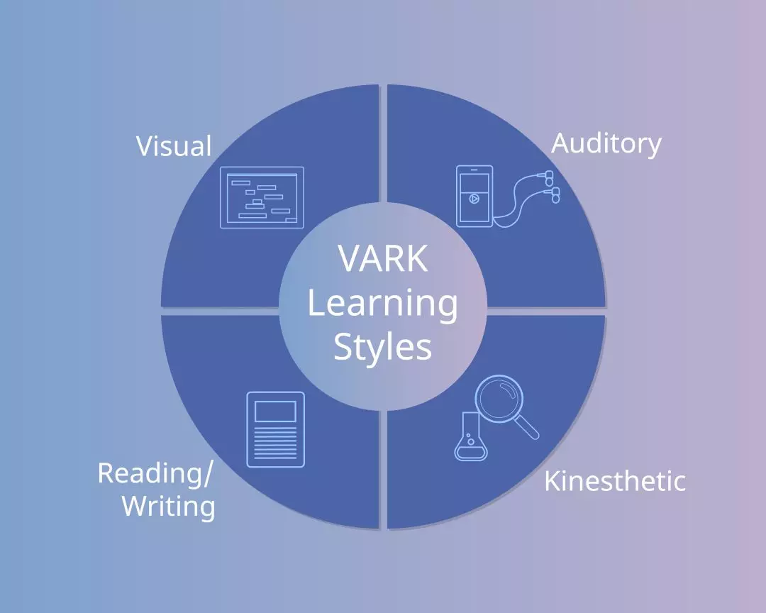 VARK modelis klasificē cilvēkus kā redzes, dzirdes, lasīšanas/rakstīšanas vai kinestētiskās (praktiskās) izglītojamos.