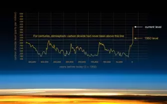 Este bosque tropical está a florecer grazas ao cambio climático 12041_4