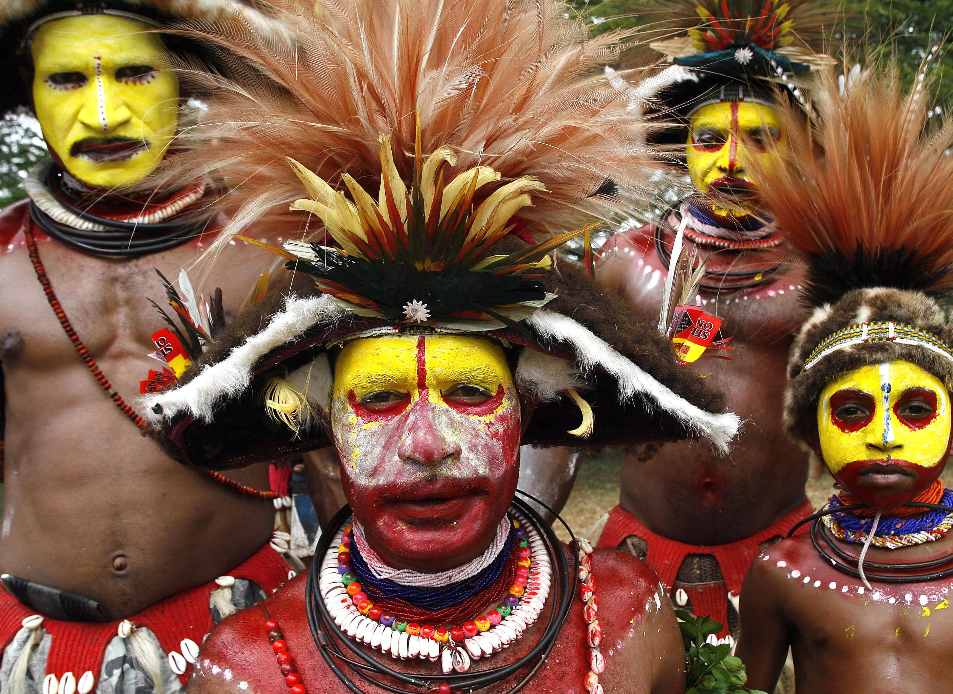 Porofon'ny karazan'olombelona tsy fantatra hita ao amin'ny ADN an'ny Melanesiana 12136_1
