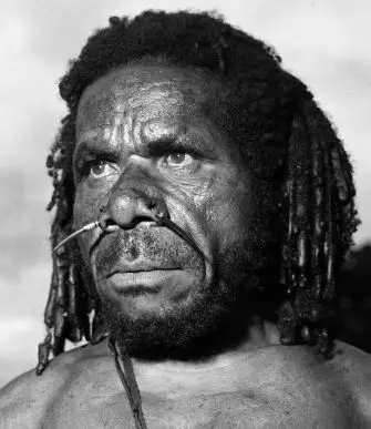 Evidenza ta 'Speċi Umana Mhux Magħrufa Misjuba fid-DNA ta' Melanesians 12136_3