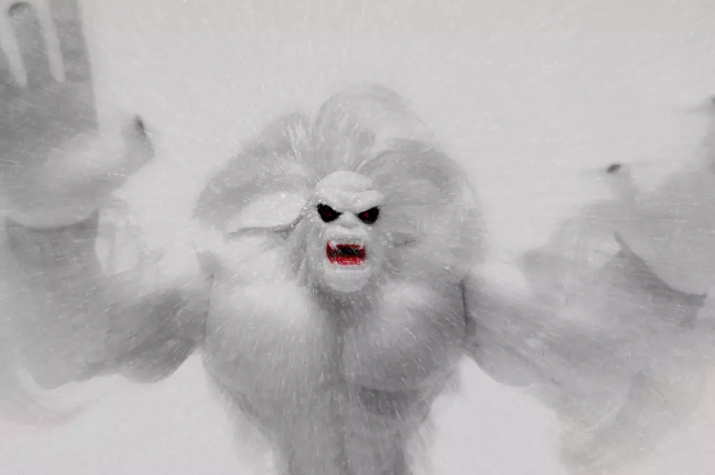 Le mystère de l'abominable bonhomme de neige est-il enfin résolu ? 12849_0