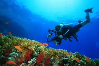 Possiamo valutare la salute delle barriere coralline dai suoni emessi dalle alghe 13155_3