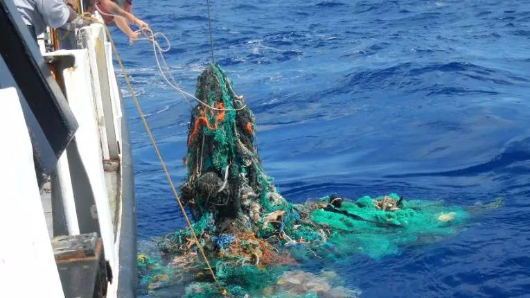 Исследование показало, что Большое тихоокеанское мусорное пятно в три раза больше Франции. 13397_0