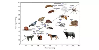 Ikerketa berriak gehien beldurtzen ditugun animaliak sailkatzen ditu. Hona hemen zer diren. 13477_2