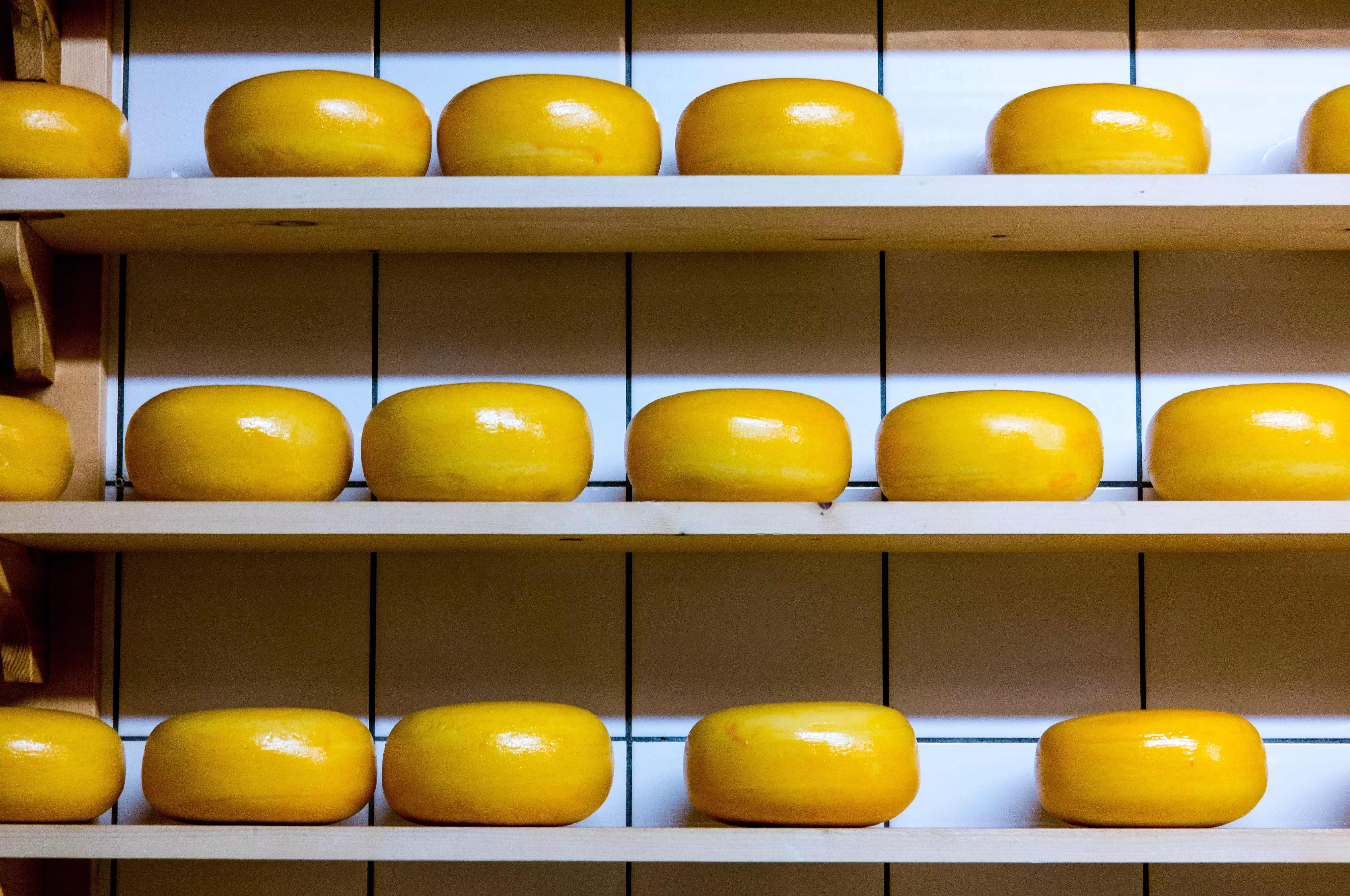 پنیر کی توانائی برطانیہ کے سینکڑوں گھروں کو بجلی دے سکتی ہے۔ 13703_1