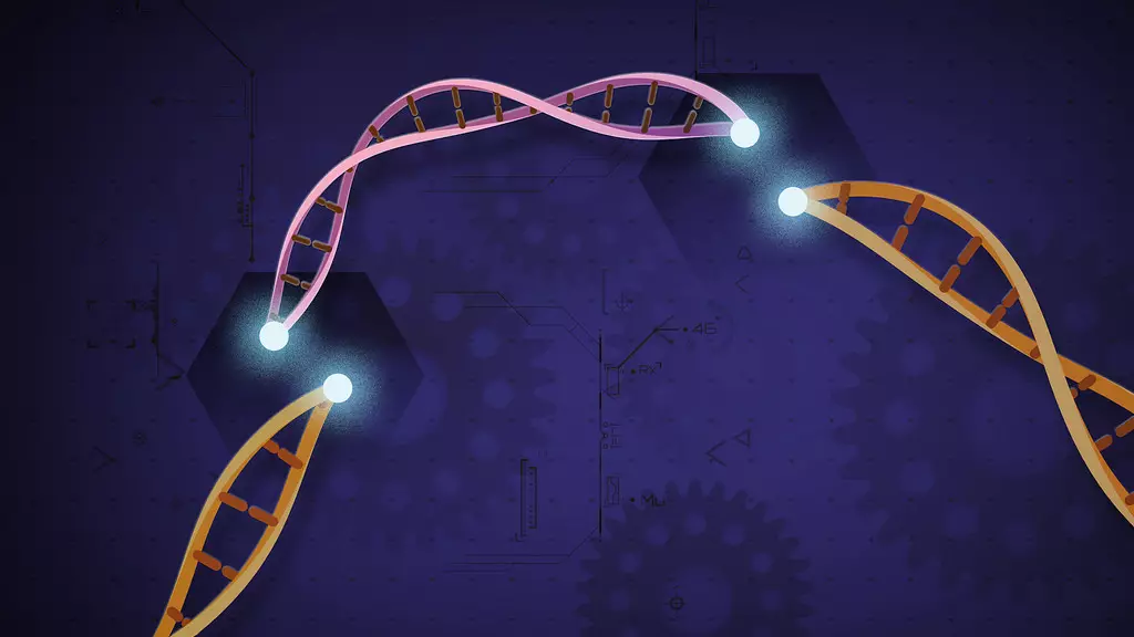 CRISPR bendrai išradėjas atsako į teiginį apie pirmuosius genais redaguotus kūdikius 13875_1