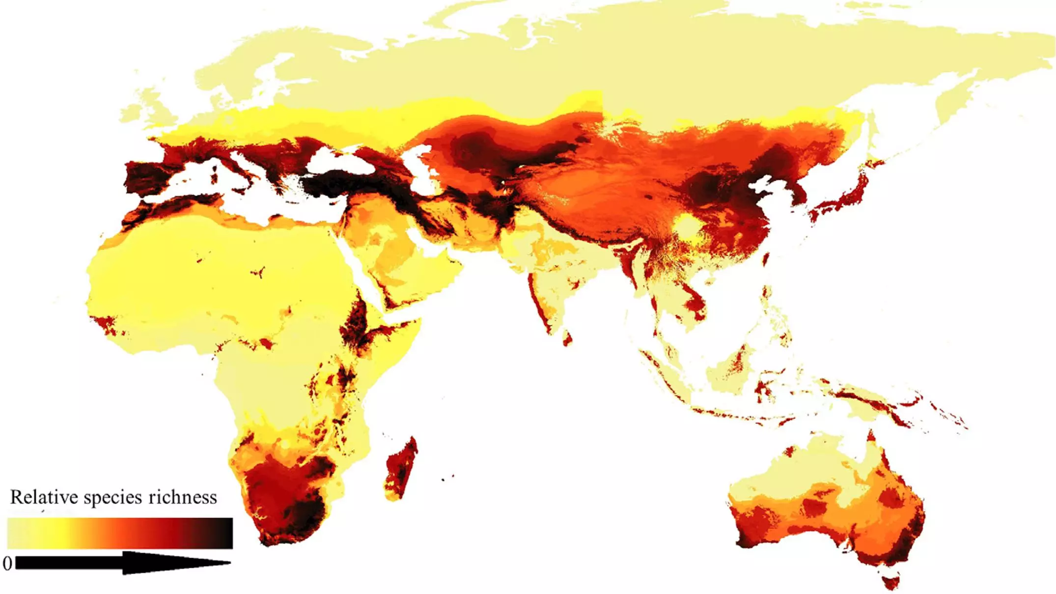 În sfârșit, o hartă a lumii pentru albine 14039_1