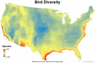 Cov 9 US biodiversity hotspots tam sim no xav tau kev tiv thaiv 14043_5