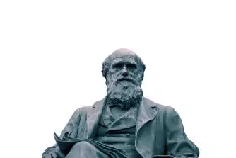 Charles Darwin 165 taona 14134_2