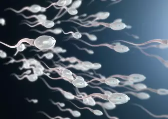 Er kan een heel gemakkelijke manier zijn om het geslacht van sperma te voorspellen 14307_2
