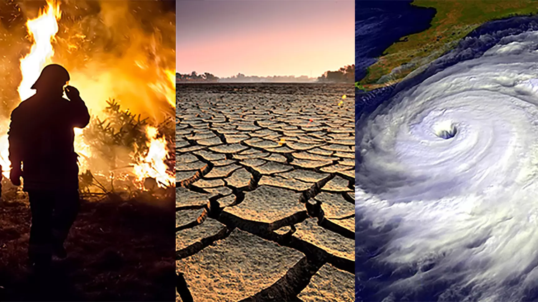 David Attenborough: Extincția lumii naturale este „la orizont” 14399_1