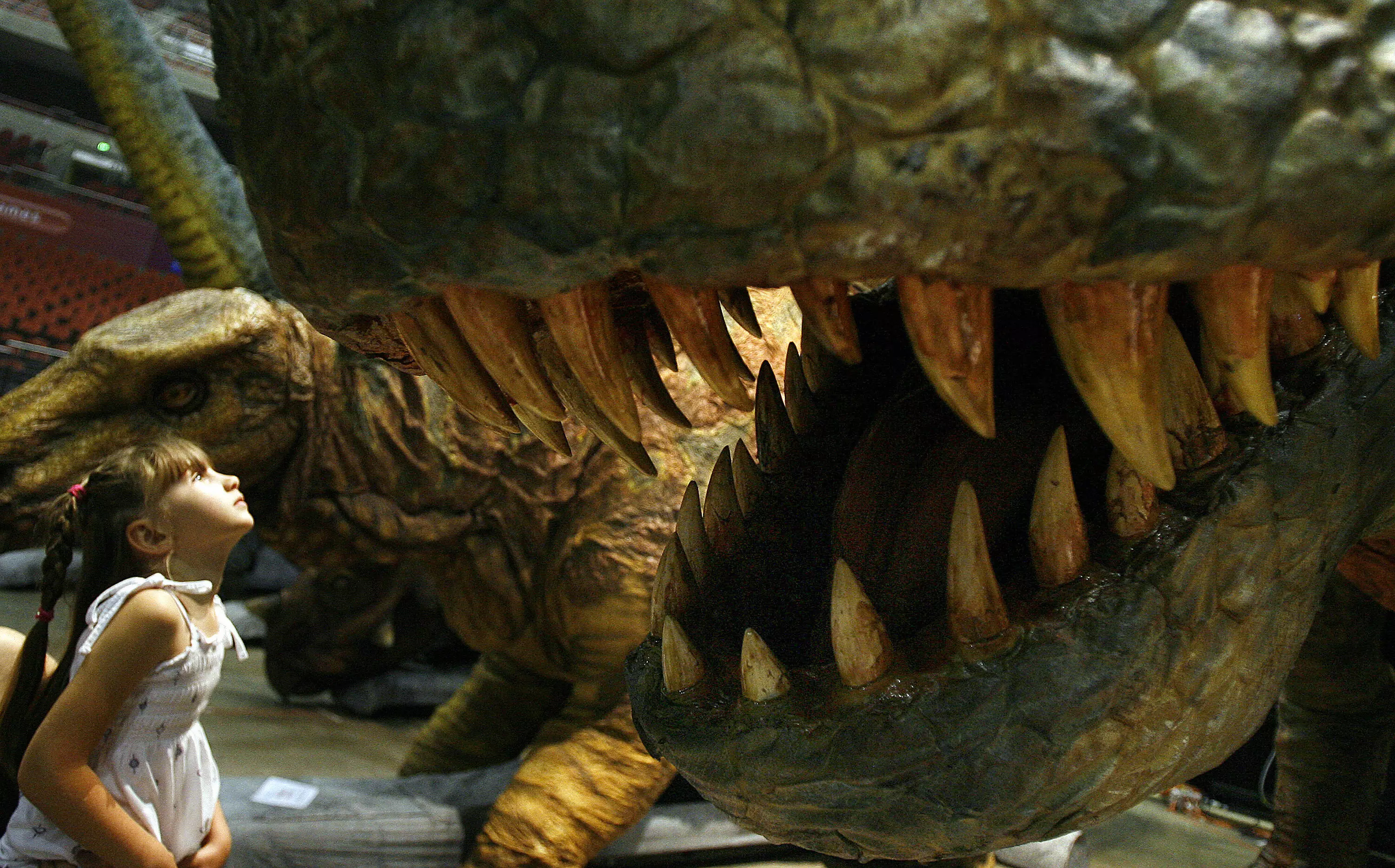 ဘာပဲဖြစ်ဖြစ် T. rex ကိုက်တာ ဘယ်လောက်တောင် ပြင်းထန်လဲ။ သိပ္ပံမှာ အဖြေရှိတယ်။ 14607_1