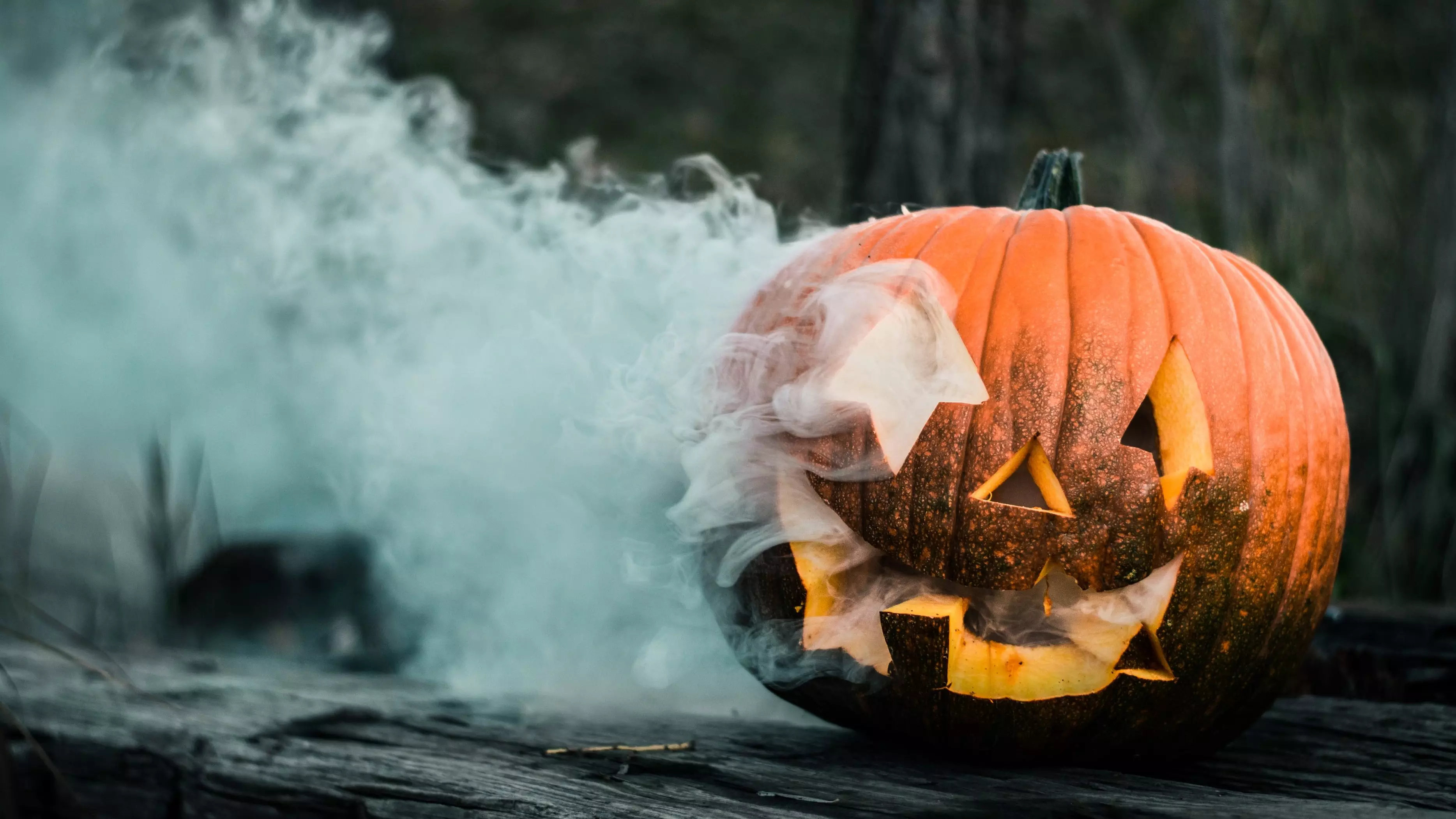 Mokopu o tsubang o bontšang kamoo Halloween e ileng ea fetoha letsatsi la phomolo le kotsi kateng