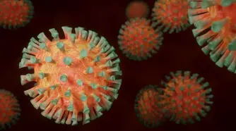Izibani ze-Ultraviolet LED zibulala i-coronavirus ngeshibhile nangempumelelo, kubika ososayensi 15512_3