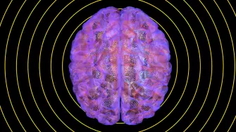 Как хипнозата наистина въздейства на мозъка? 15967_3