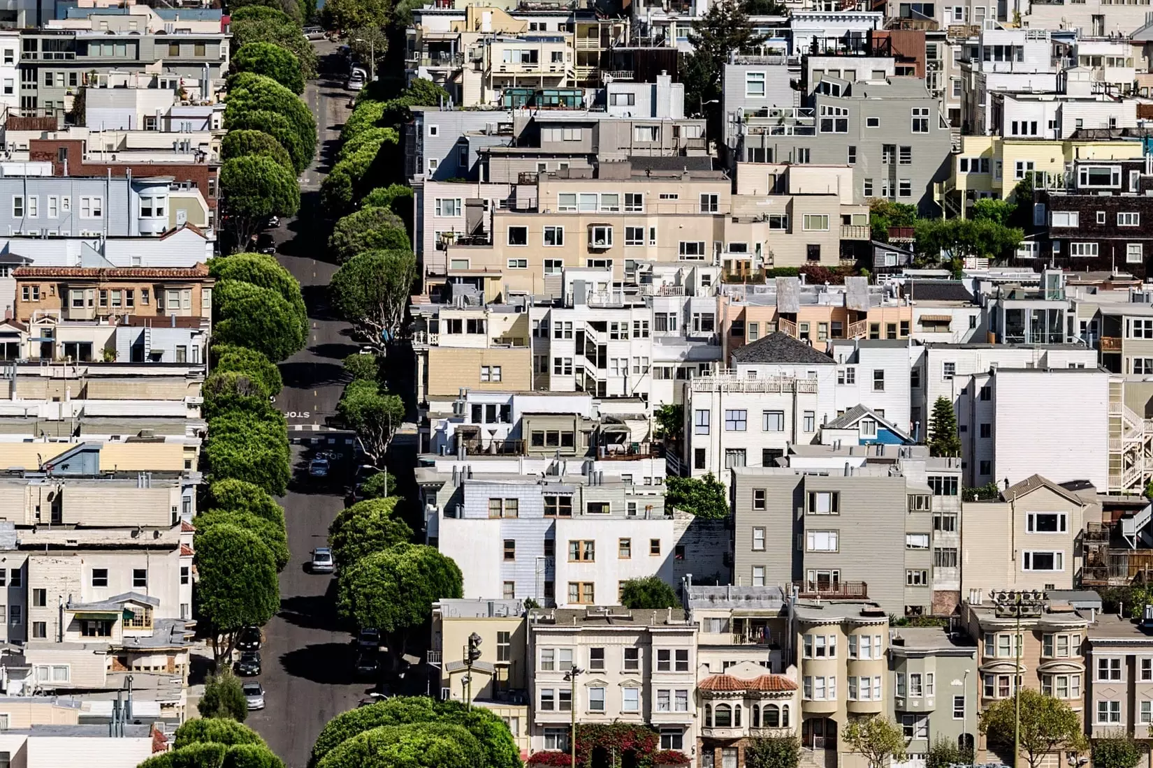 Les rues bordées d'arbres améliorent la santé globale d'une communauté, selon une nouvelle recherche 16962_1