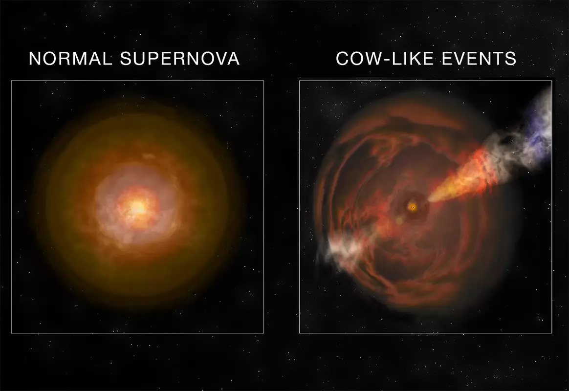 Rekordverdächtige Supernova gelingt 176_10