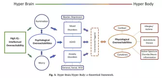 Miksi erittäin älykkäät ihmiset kärsivät enemmän henkisistä ja fyysisistä häiriöistä 17730_3