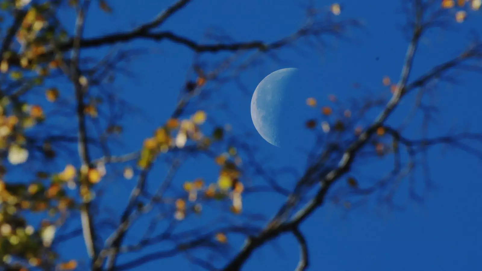 To soboto poglejte gor! To je zadnja modra luna, ki jo bomo videli v zadnjih dveh letih