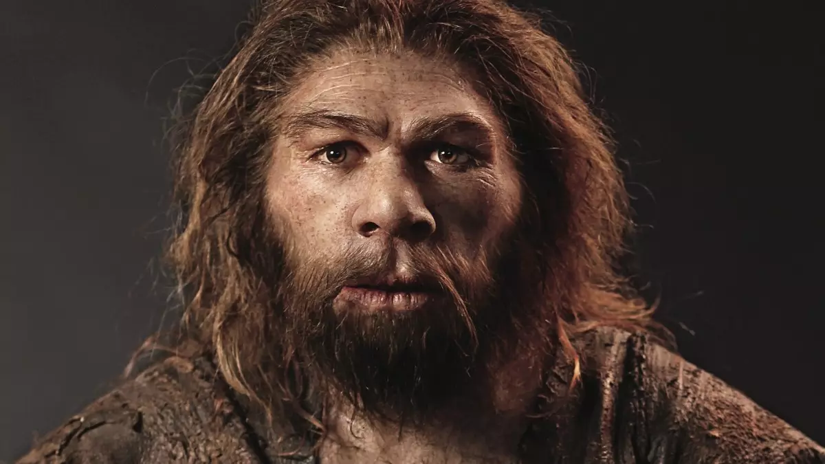 Fe wnaeth rhyw gyda Neanderthaliaid helpu bodau dynol modern i oroesi, meddai astudiaeth 19720_1