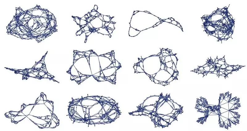 3 เหตุผลง่ายๆ ว่าทำไม 'ทฤษฎีพื้นฐาน' ใหม่ของ Wolfram จึงยังไม่เป็นวิทยาศาสตร์ 19890_8