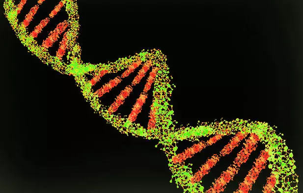 Мицрософт планира да има рачунар заснован на ДНК до 2020 21173_0