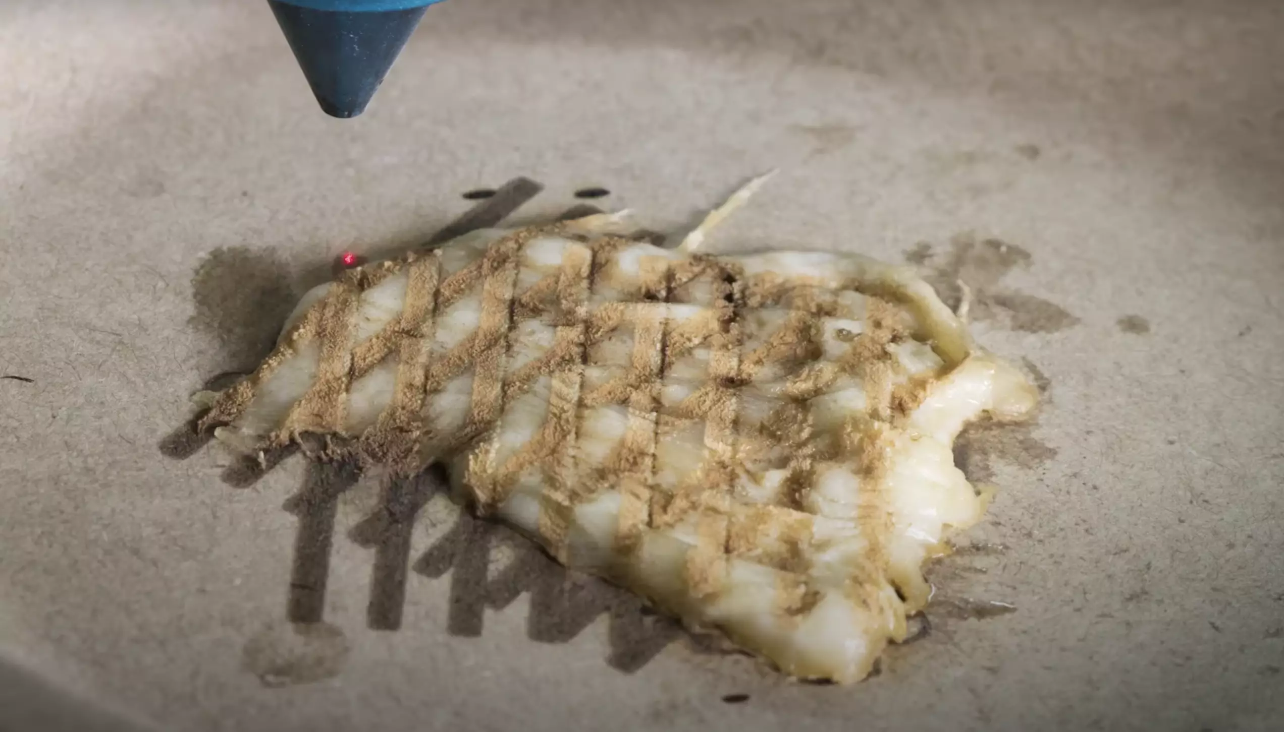 3D-gedrucktes, lasergegartes Fleisch könnte die Zukunft des Kochens sein 2207_1