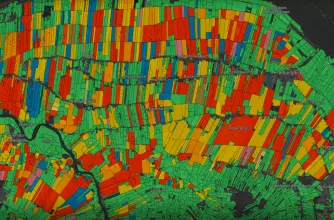 A.I. transformă 57 de milioane de câmpuri de cultură în artă abstractă uluitoare 2231_7