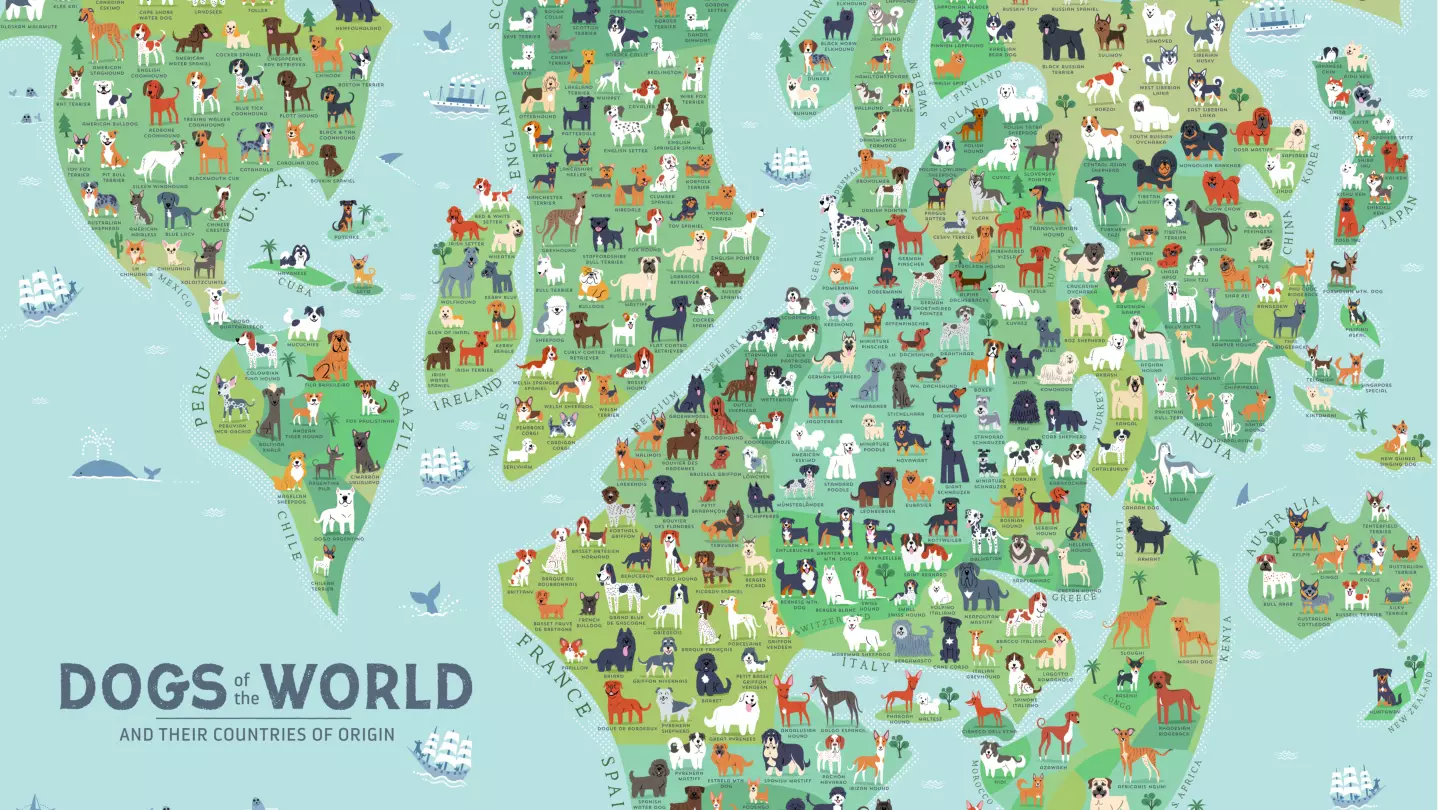 Yli 40 % maailman koiraroduista on kotoisin näistä kolmesta maasta 2381_0