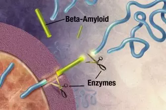 Naujas vaistas – pirmasis didelis laimėjimas Alzheimerio liga per pastarąjį dešimtmetį 24087_2