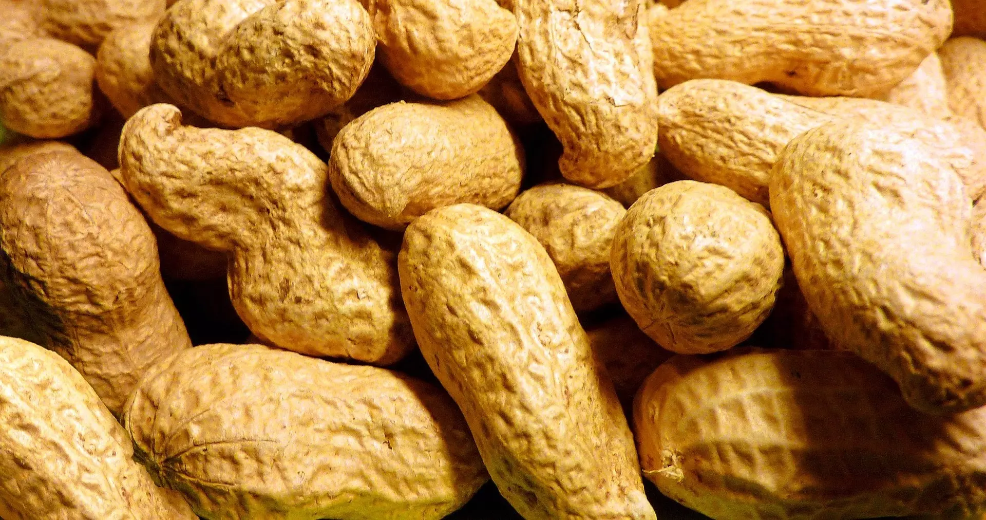 Novo tratamento para alergia a amendoim pode salvar a vida de crianças, dizem pesquisadores 2508_1