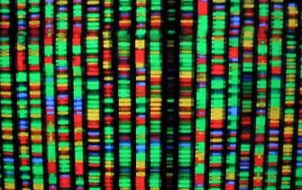 Supercentenarian DNA tuaj yeem tuav qhov kawg zais cia rau lub neej ntev 25653_4