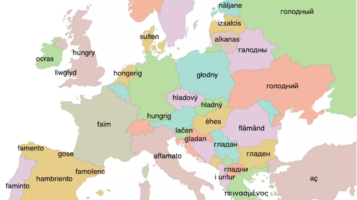 En zemljevid za prevajanje vseh 27478_1