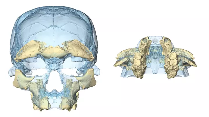 Це може бути найстаріший Homo Sapiens, знайдений у дивовижному місці 27959_0