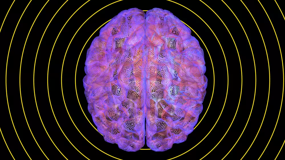 4 būdai, kaip skatinti neurogenezę jūsų smegenyse 28272_1