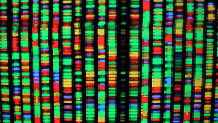 Το κρυφό στρώμα του DNA είναι πραγματικό και οι φυσικοί βρίσκουν περισσότερες αποδείξεις 28280_1