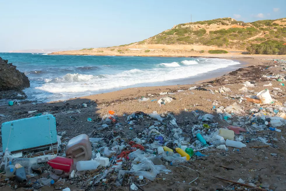 Den #1 kilden til plastsøppel i våre hav? Sigarett stumper. 28757_3