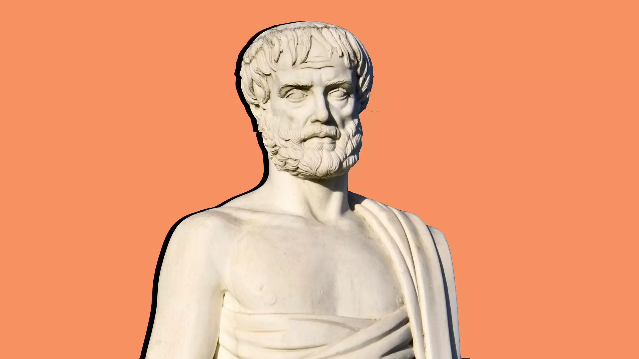 Аристотель боюнча достуктун 3 түрү 29921_0