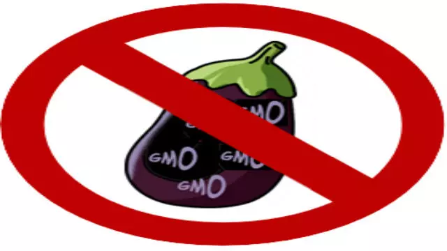 Көбүрөөк анти-ГМО эмоционализм. Бул жолу гана Соттон. 30094_0