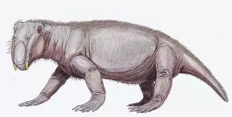 Therapsid Lystrosaurus로 멸종 사건에서 살아남는 방법 31618_3