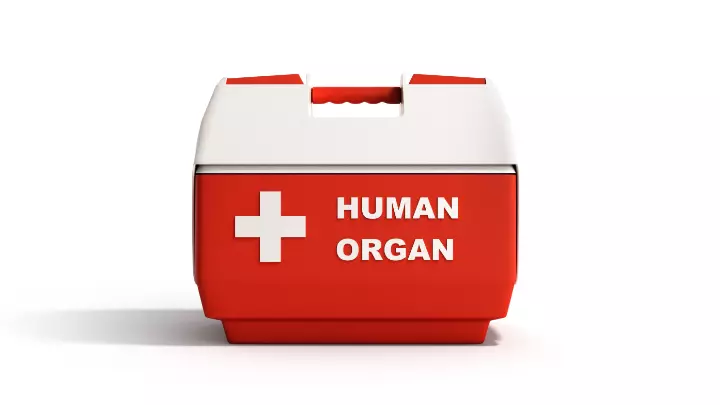 Wat dacht je van een voucher voor een orgaan later als je er nu een doneert? 33332_0