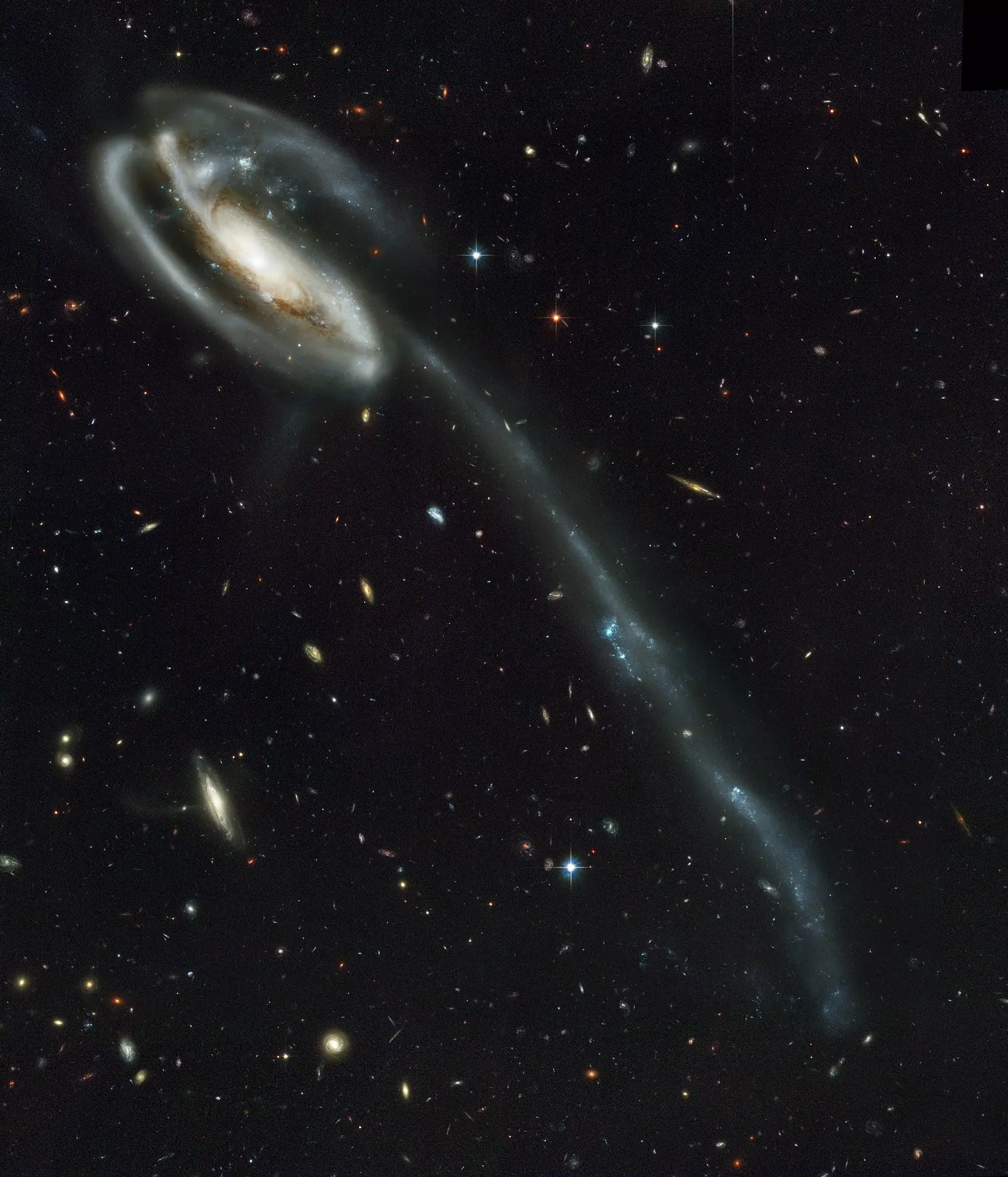Giganta radiogalaksio Alcyoneus nun estas la plej granda konata galaksio en la Universo 335_6