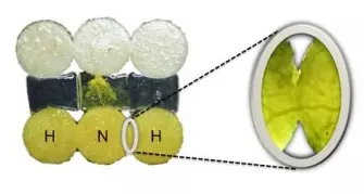 科学家们发现史莱姆正在学习，尽管他们有 0 个神经元 33738_5