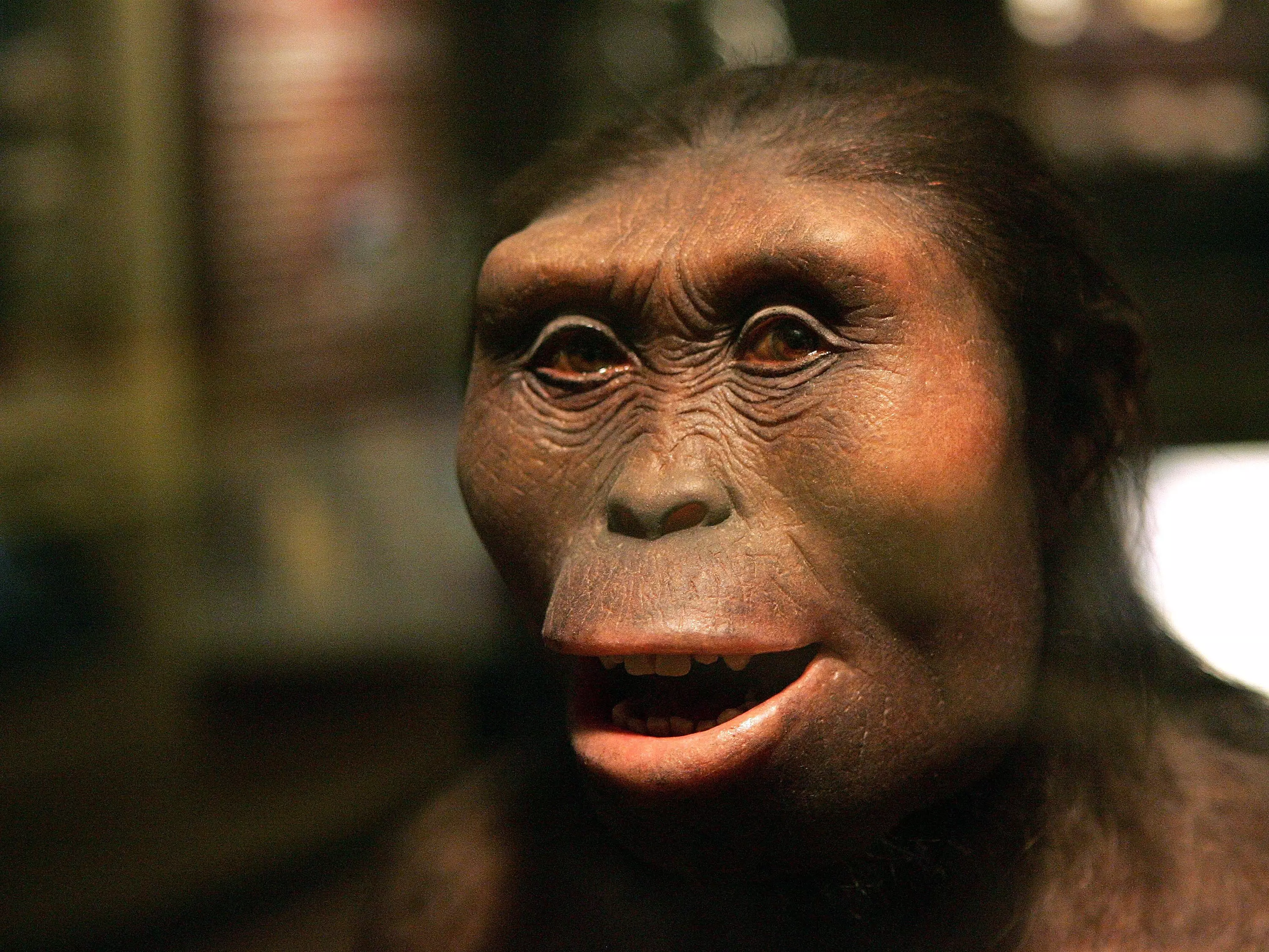 研究人員發現了我們以前從未發現過的人類祖先的證據 34606_0