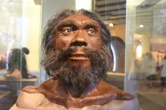 Výskumníci našli dôkaz o ľudskom predkovi, ktorého sme nikdy predtým neobjavili 34606_5