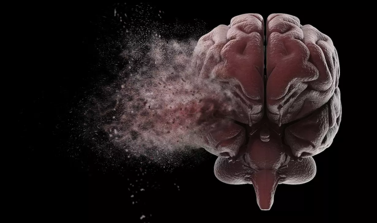 Kako je lijeva hemisfera mozga